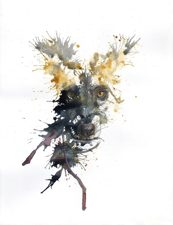 African Wild Dog Art - Limited Edition Giclee Print | ClareForgieArt